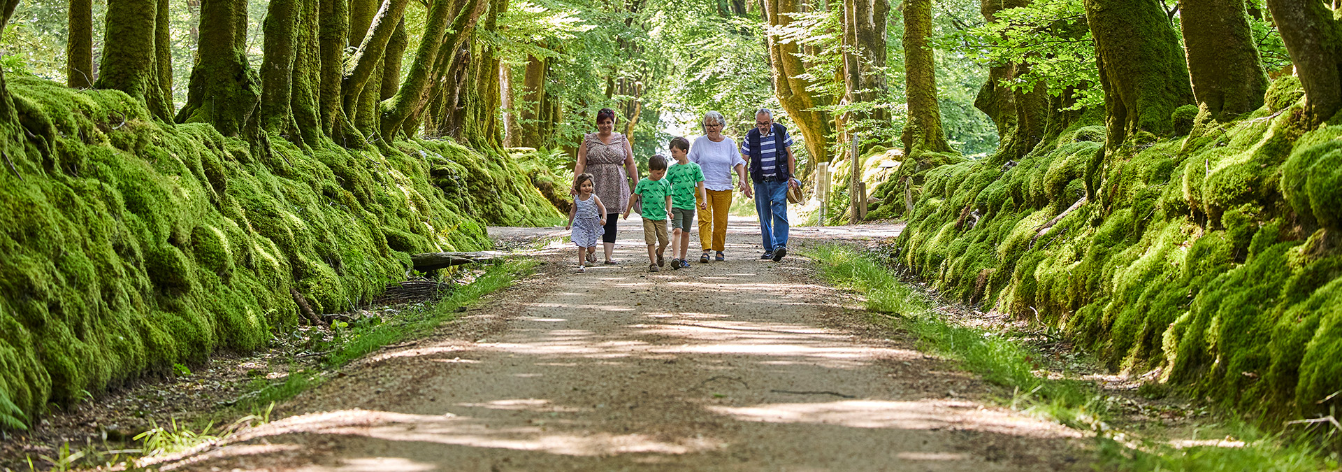 Le parcours accessible du Domaine de Menez Meur à Hanvec - Tout ...