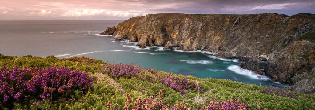 Écrin de biodiversité - Tout commence en Finistère